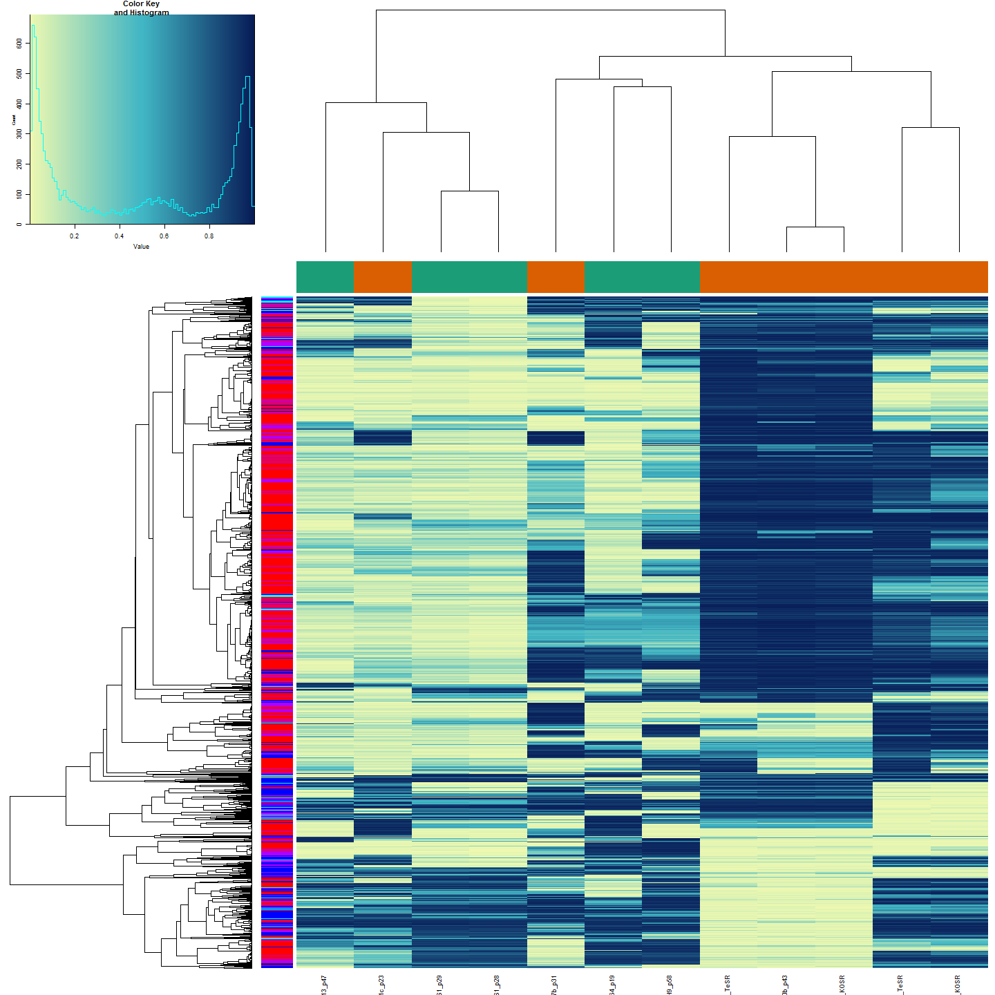 RnBeads: RnBeads Analysis