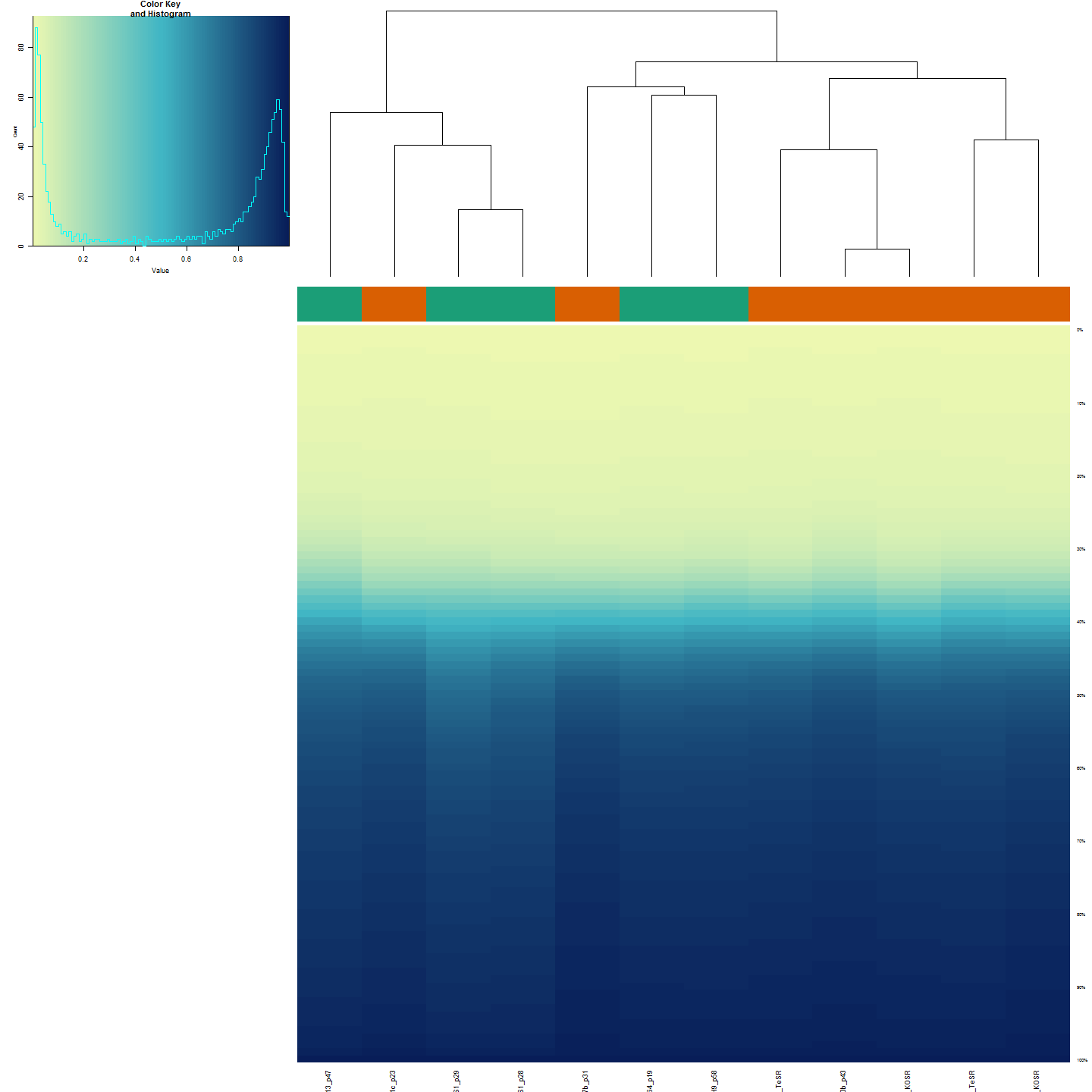 RnBeads: RnBeads Analysis