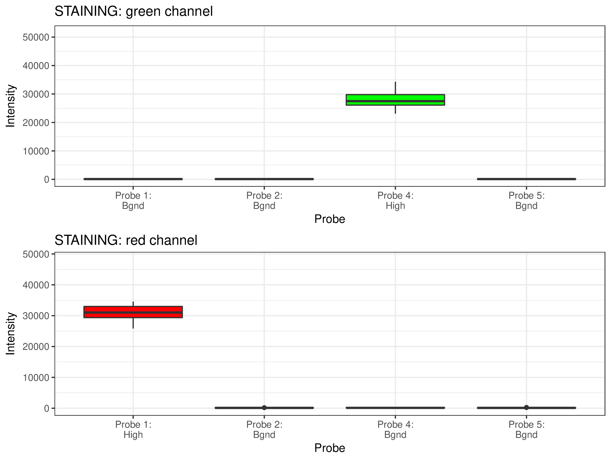 RnBeads: RnBeads Analysis