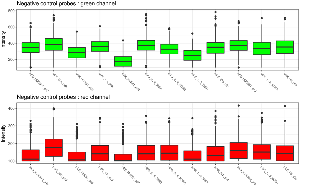 RnBeads: RnBeads Analysis